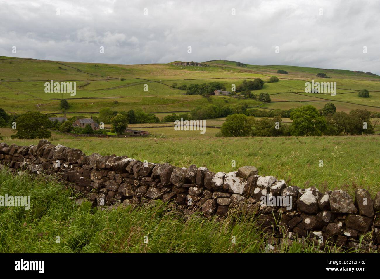 Ridsdale northumberland hi-res stock photography and images - Alamy