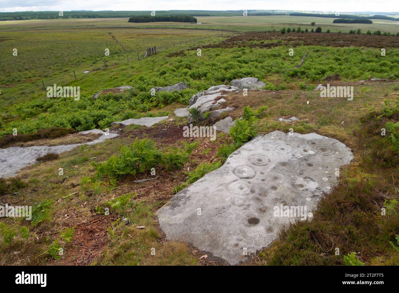 Cup and ring marks hi-res stock photography and images - Alamy