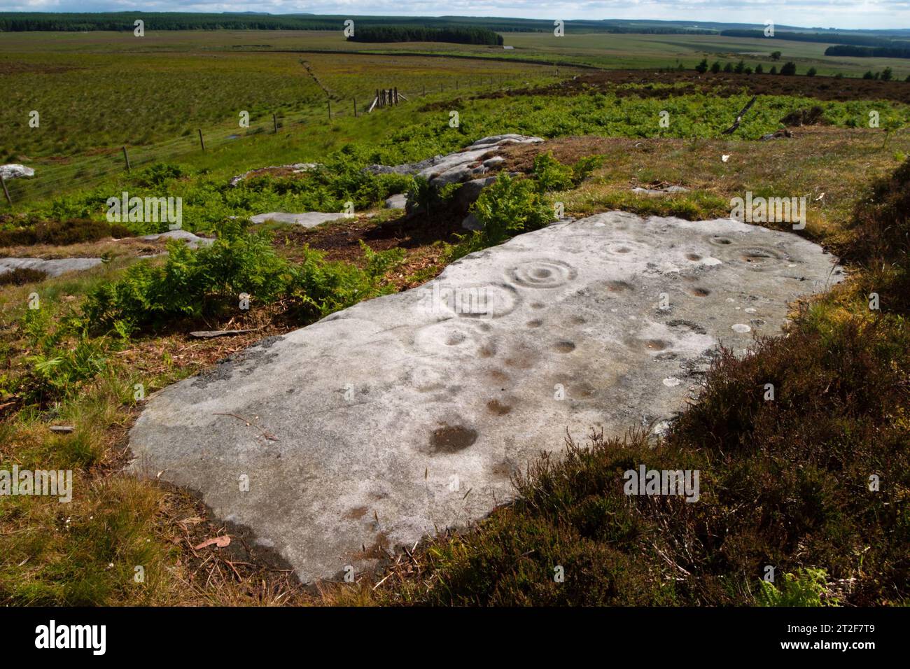 Cup and ring marks hi-res stock photography and images - Alamy