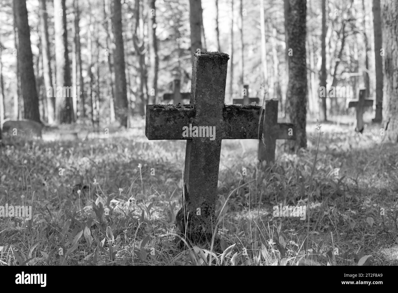tombstone black and white image. old cemetery in estonia Stock Photo ...