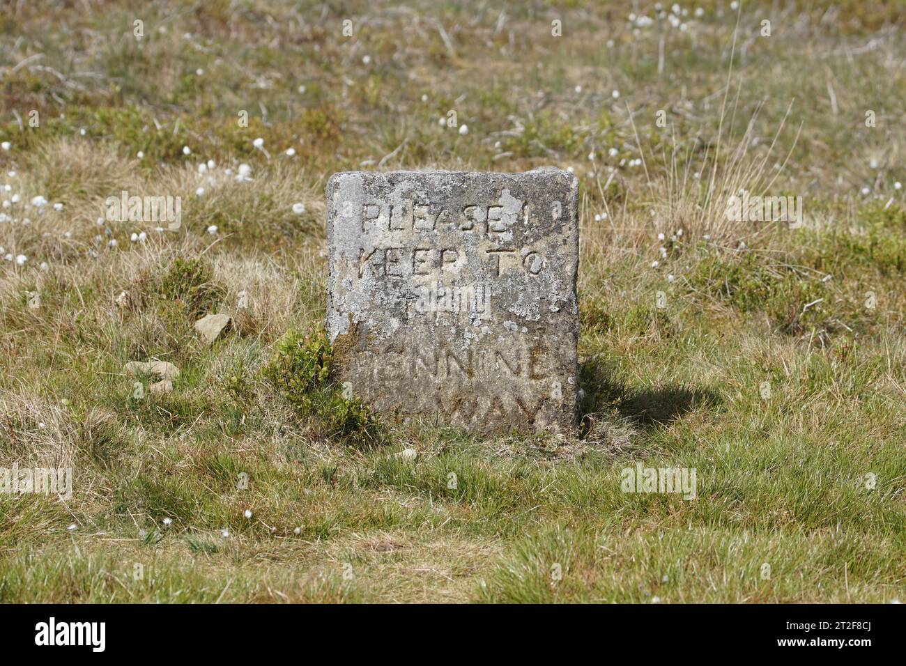 Pinhaw beacon hi-res stock photography and images - Alamy
