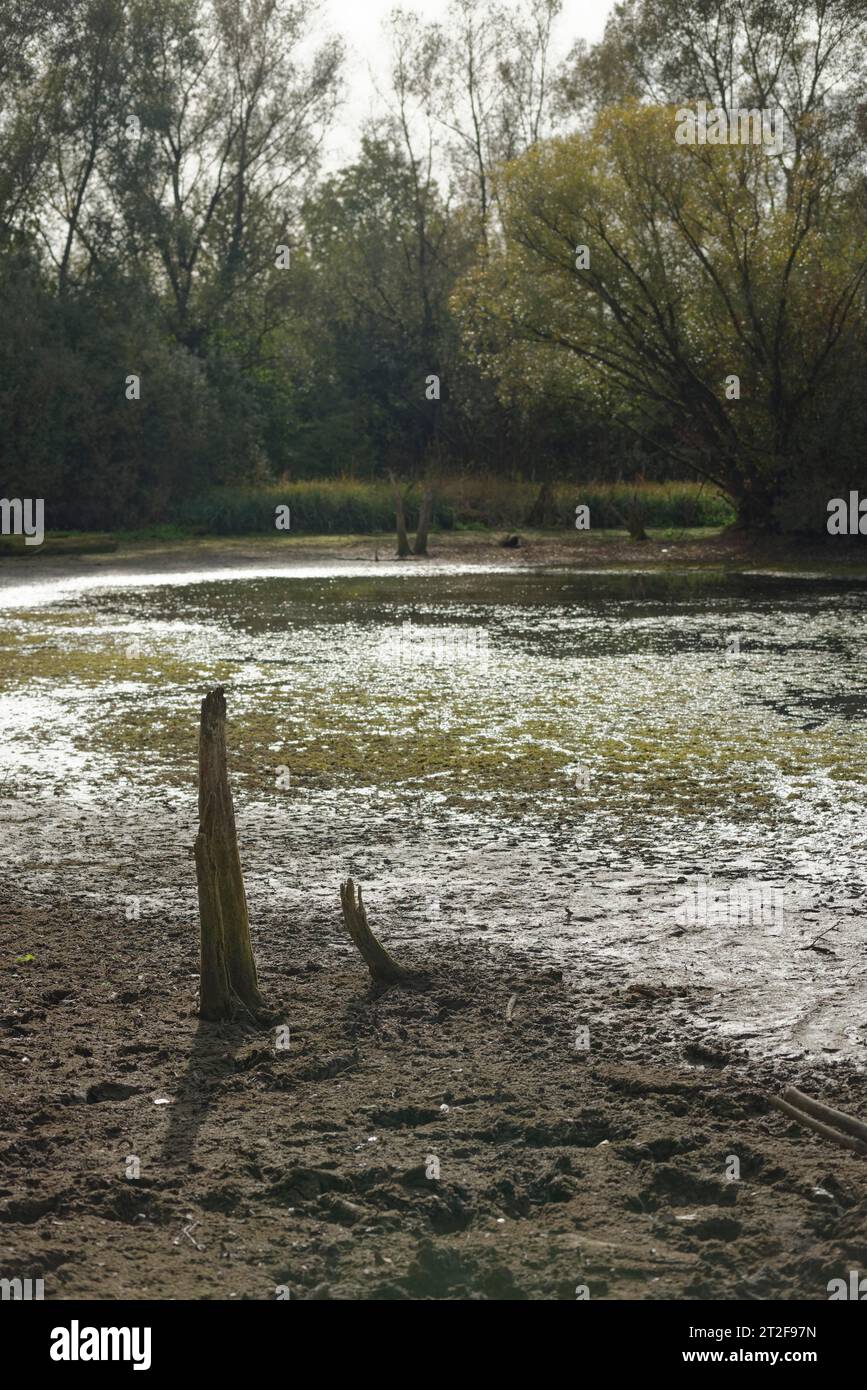 Low water level in Heidsee, pond, climate change, drought, ecology ...