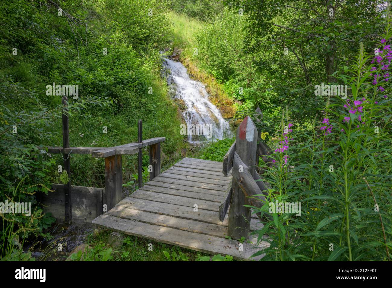 Small waterfall and bridge at Ackerwaal, Matschertal, Mals, South Tyrol ...
