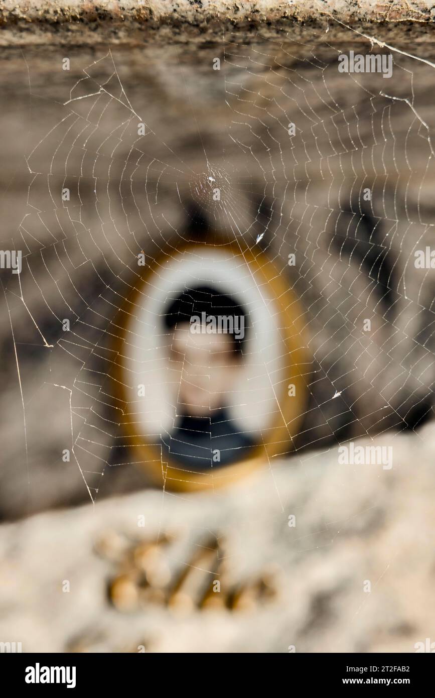 Spider's web on a tombstone in front of a blurred photo Medailion of ...