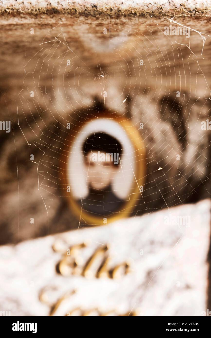 Spider's web on a tombstone in front of a blurred photo Medailion of ...