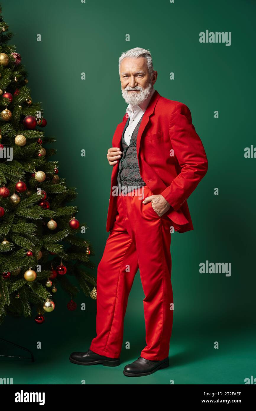 classy Santa in red suit with white beard posing near fir tree with ...