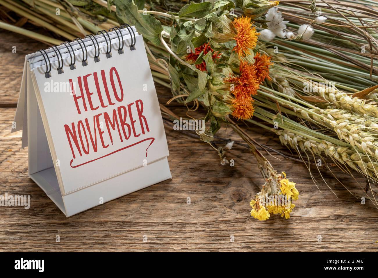 Hello November welcome note in a spiral desktop calendar with floral ...
