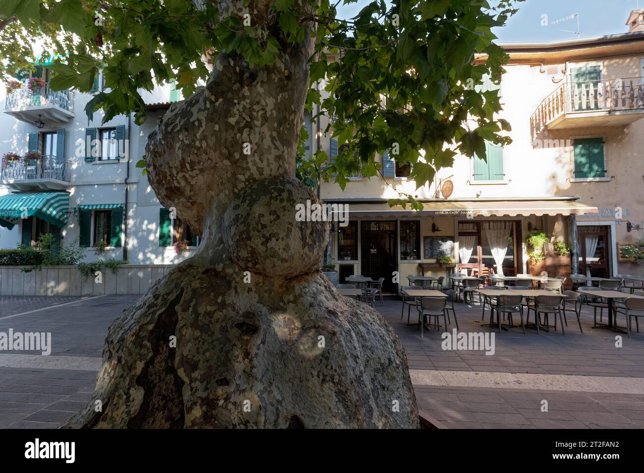 Spherical growths hi-res stock photography and images - Alamy