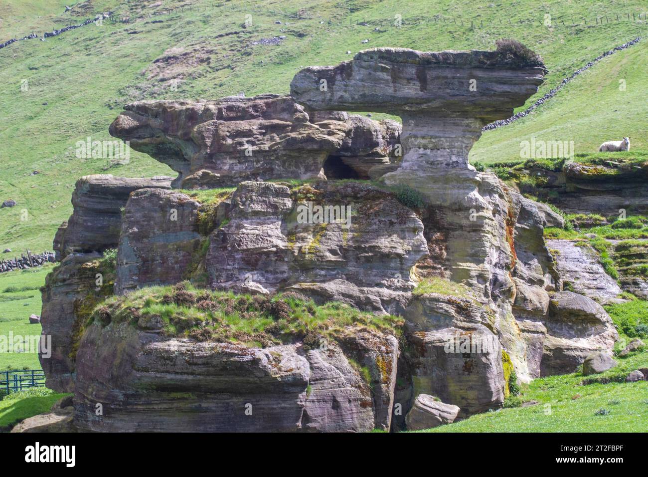 The Bunnet Stane sandstone outcrop sits at the foot of the Midland Sill ...