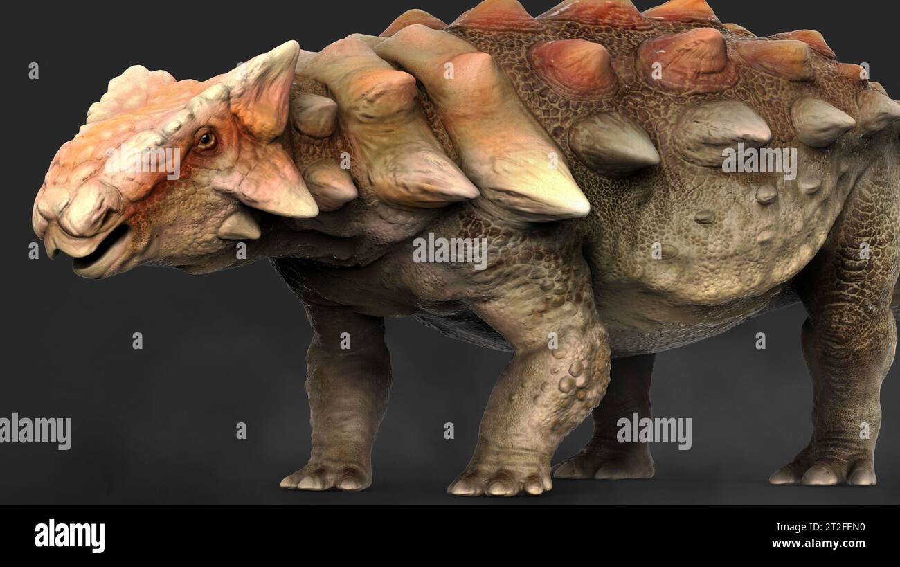 Ankylosaur dinosaur hi-res stock photography and images - Alamy Ankylosaur dinosaur hi-res stock photography and images - Alamy