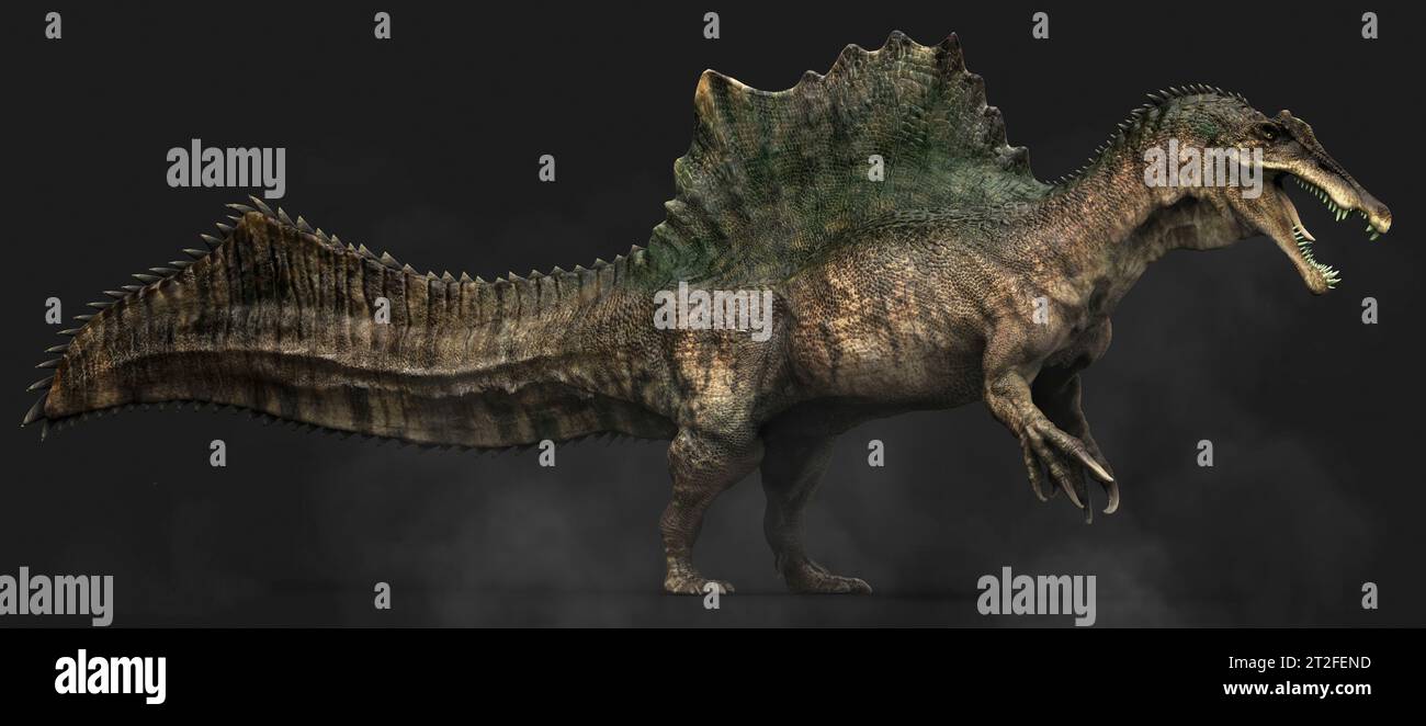 Spinosaurus dinosaur, side view on colored background Stock Photo - Alamy
