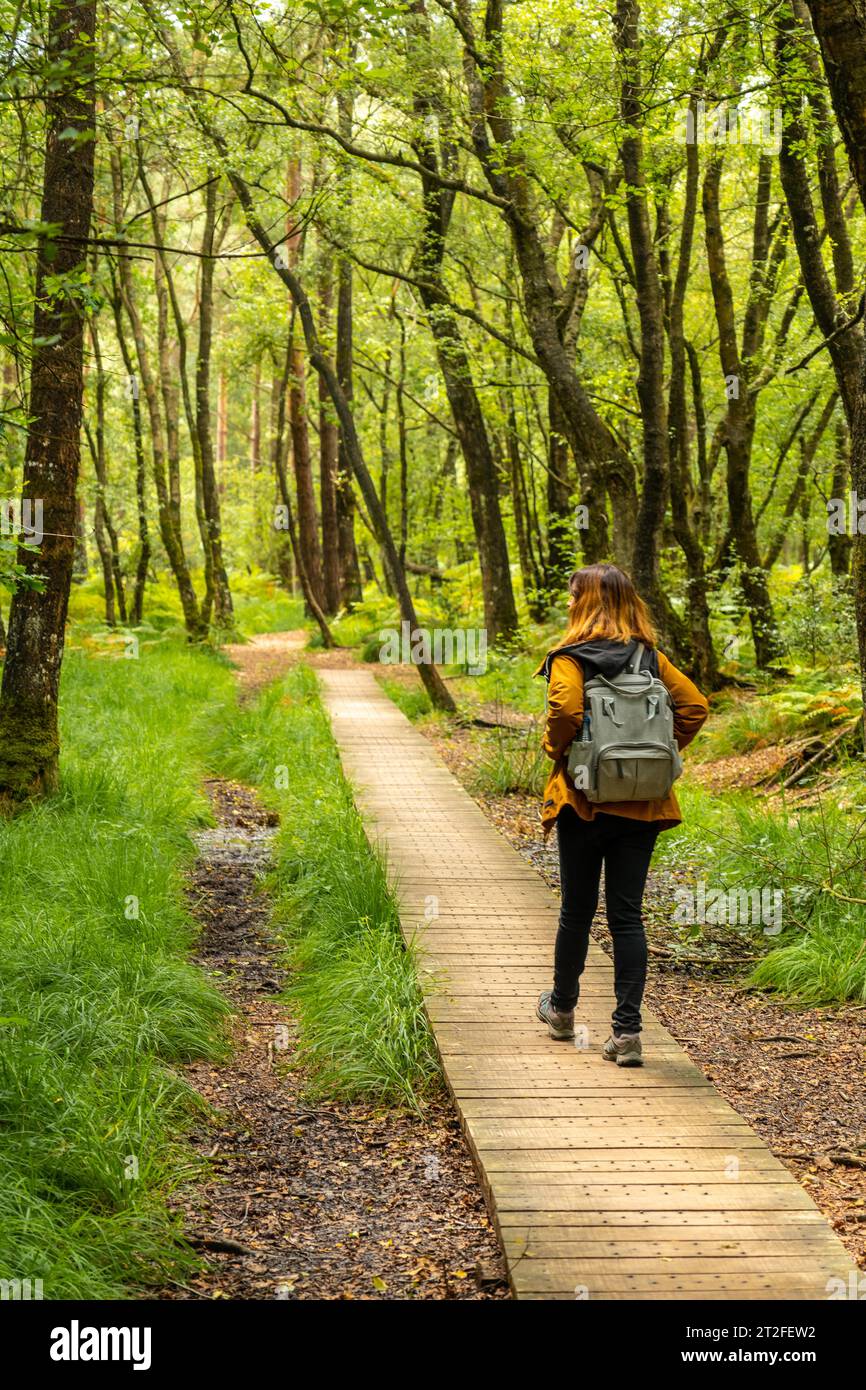 A young girl on the wooden footpath at Lake Paimpont in the Broceliande ...