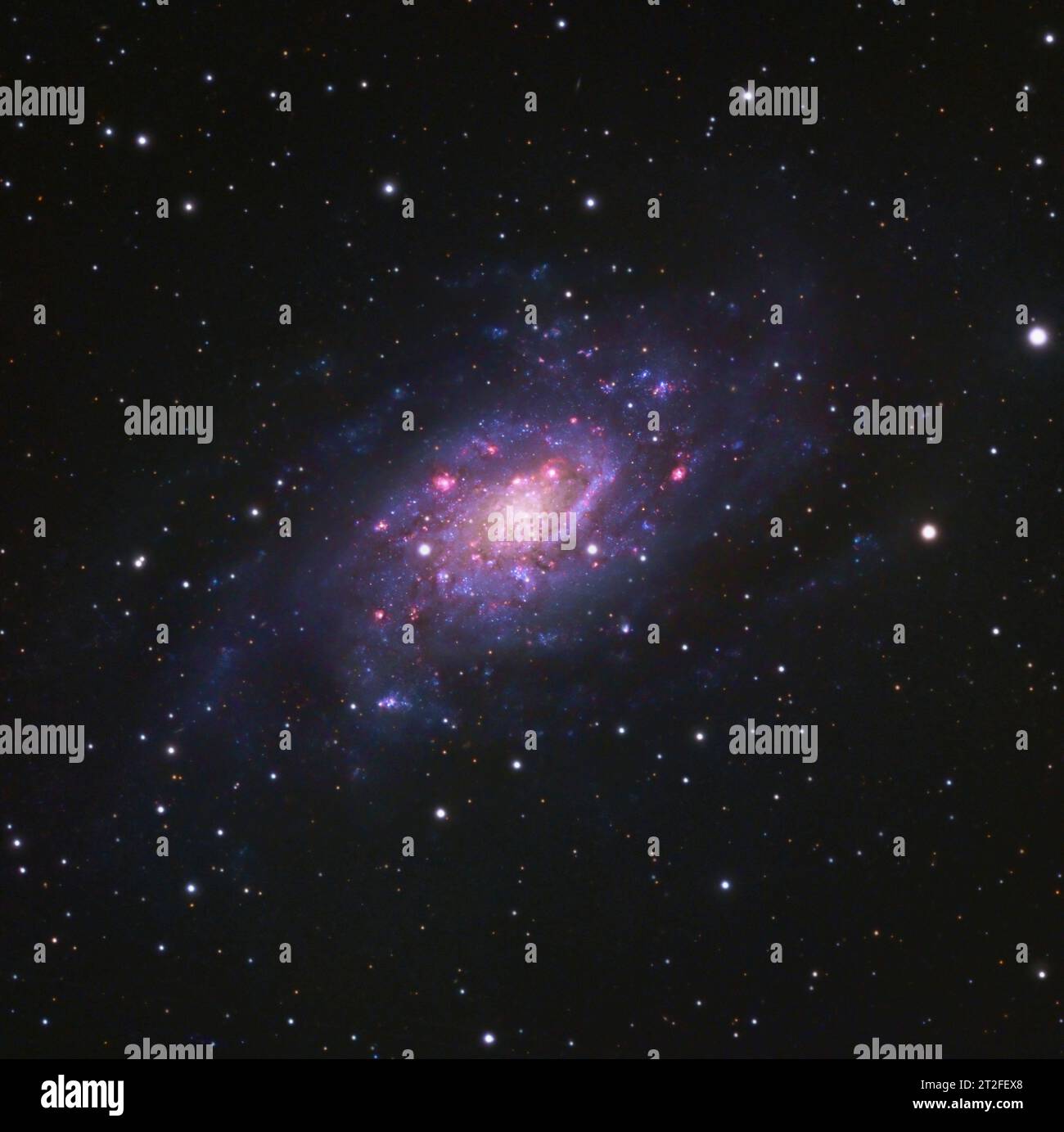 Intermediate spiral galaxy NGC 2403 Stock Photo - Alamy