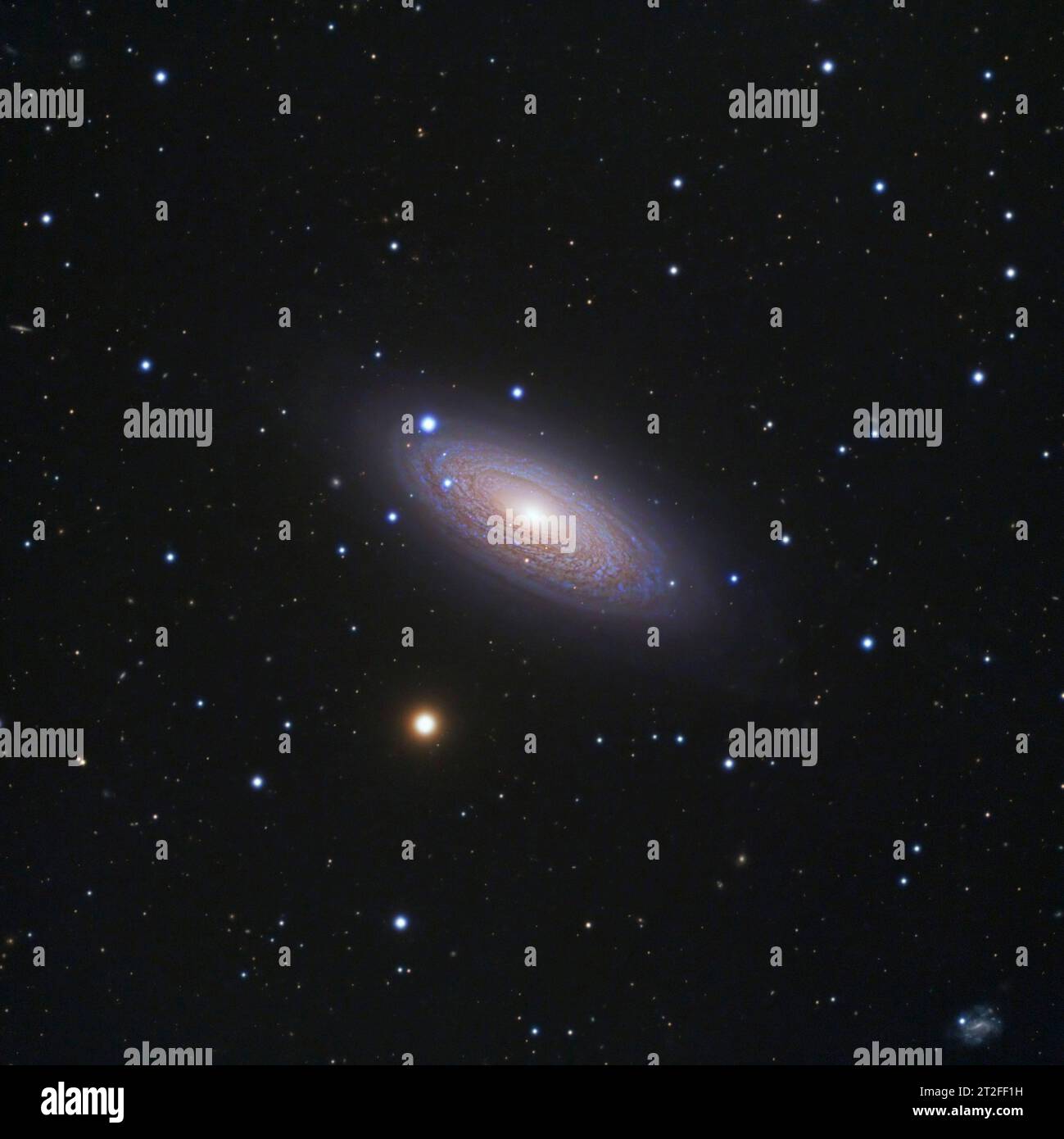 NGC 2841, the Tiger's Eye Galaxy Stock Photo - Alamy