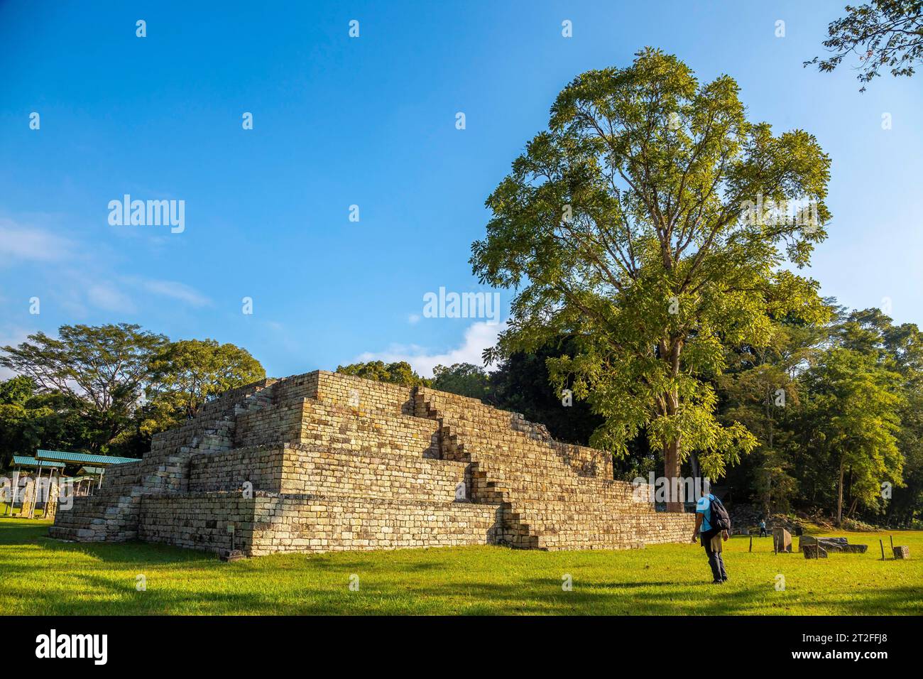 A young man watching A Mayan pyramid at The Copan Ruins temples ...