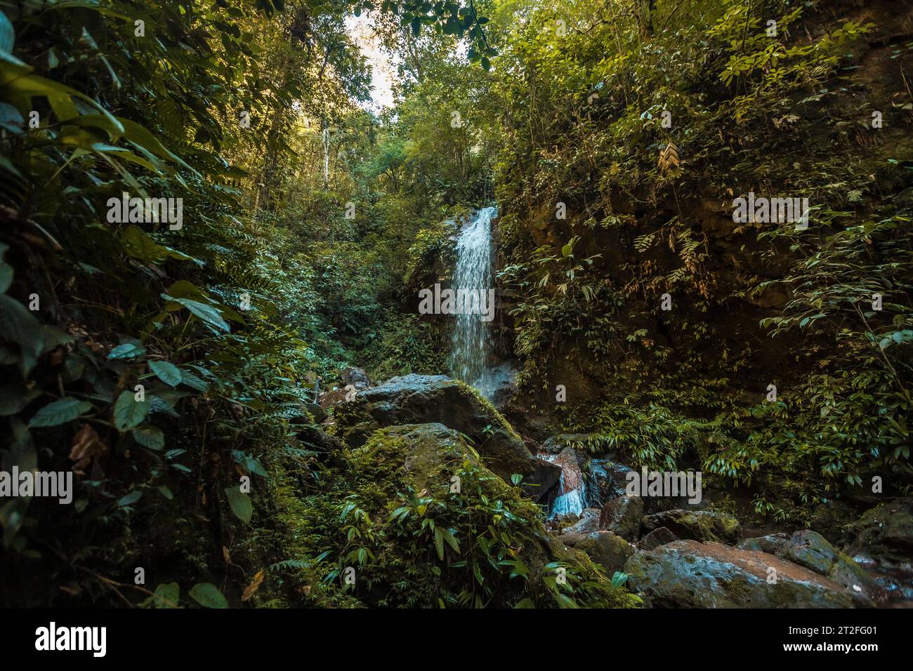 Waterfall and its natural environment of the Cerro Azul Meambar ...