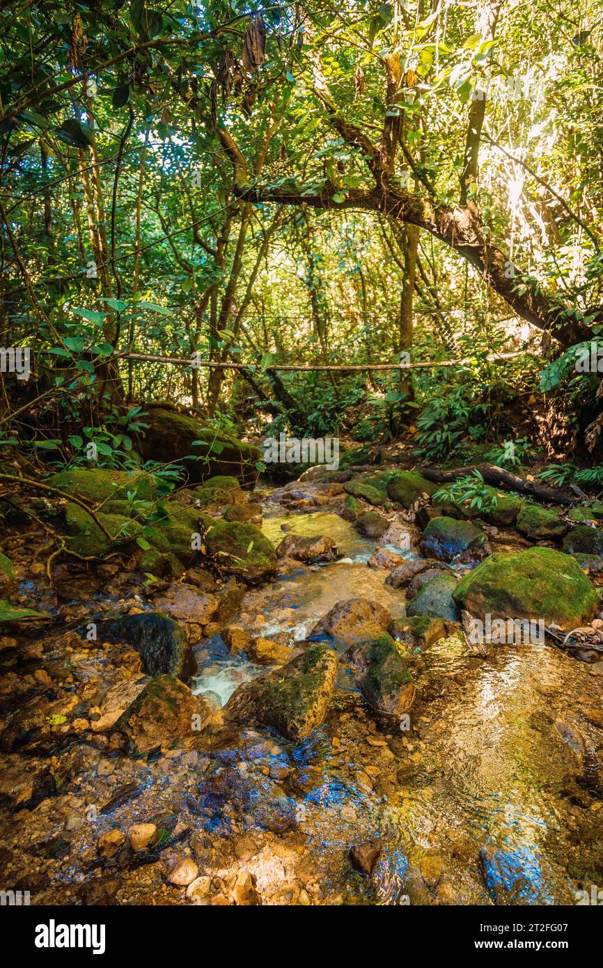 The river of the Cerro Azul Meambar National Park (Panacam) in Yojoa ...