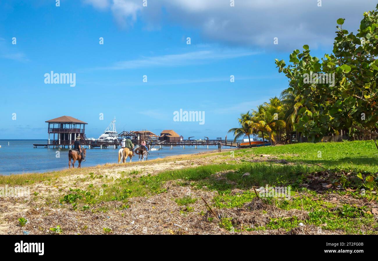 Roatan, Honduras Â», January 2020: A group riding on the Sandy Bay ...