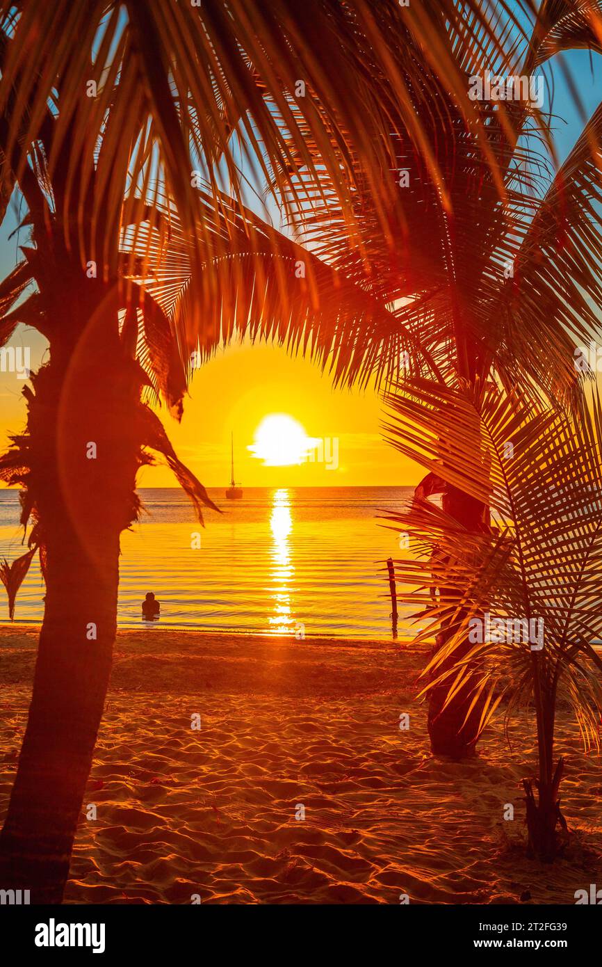 Red sunset in some palm trees on West End beach on Roatan Island ...
