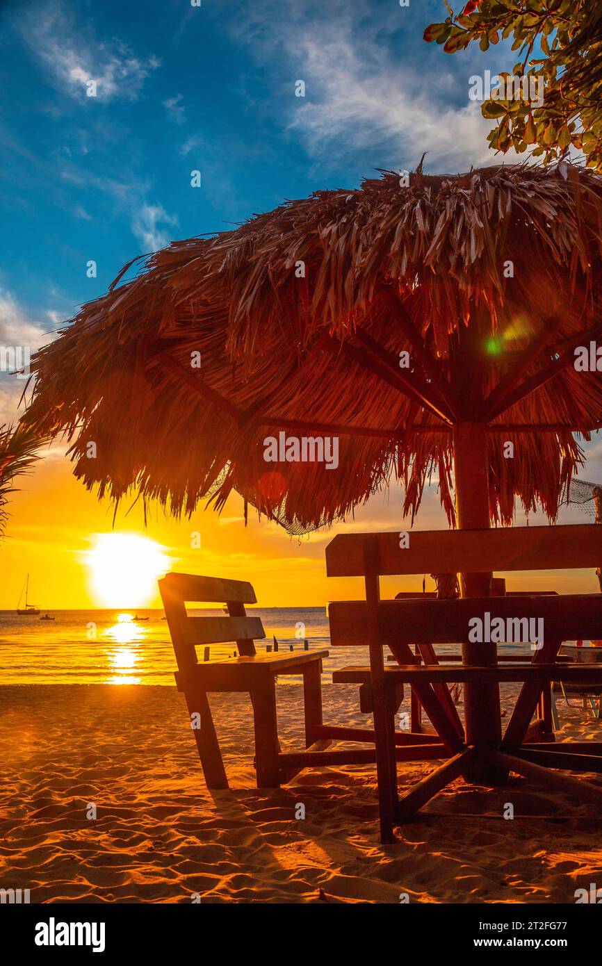 A palm tree on the beach at Sunset from West End Beach, Roatan Island ...