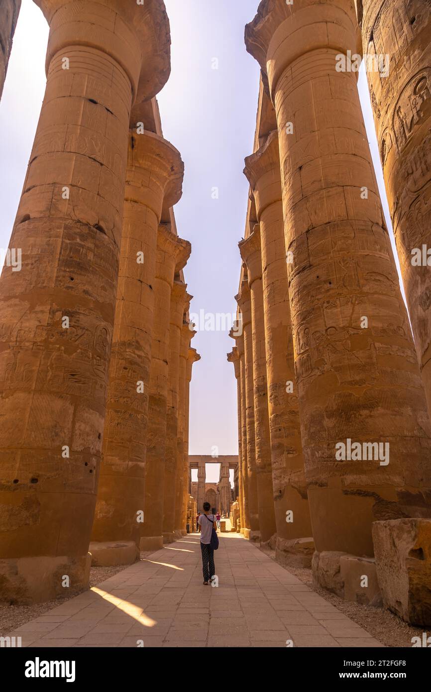 Beautiful interior with its columns in one of the most beautiful ...