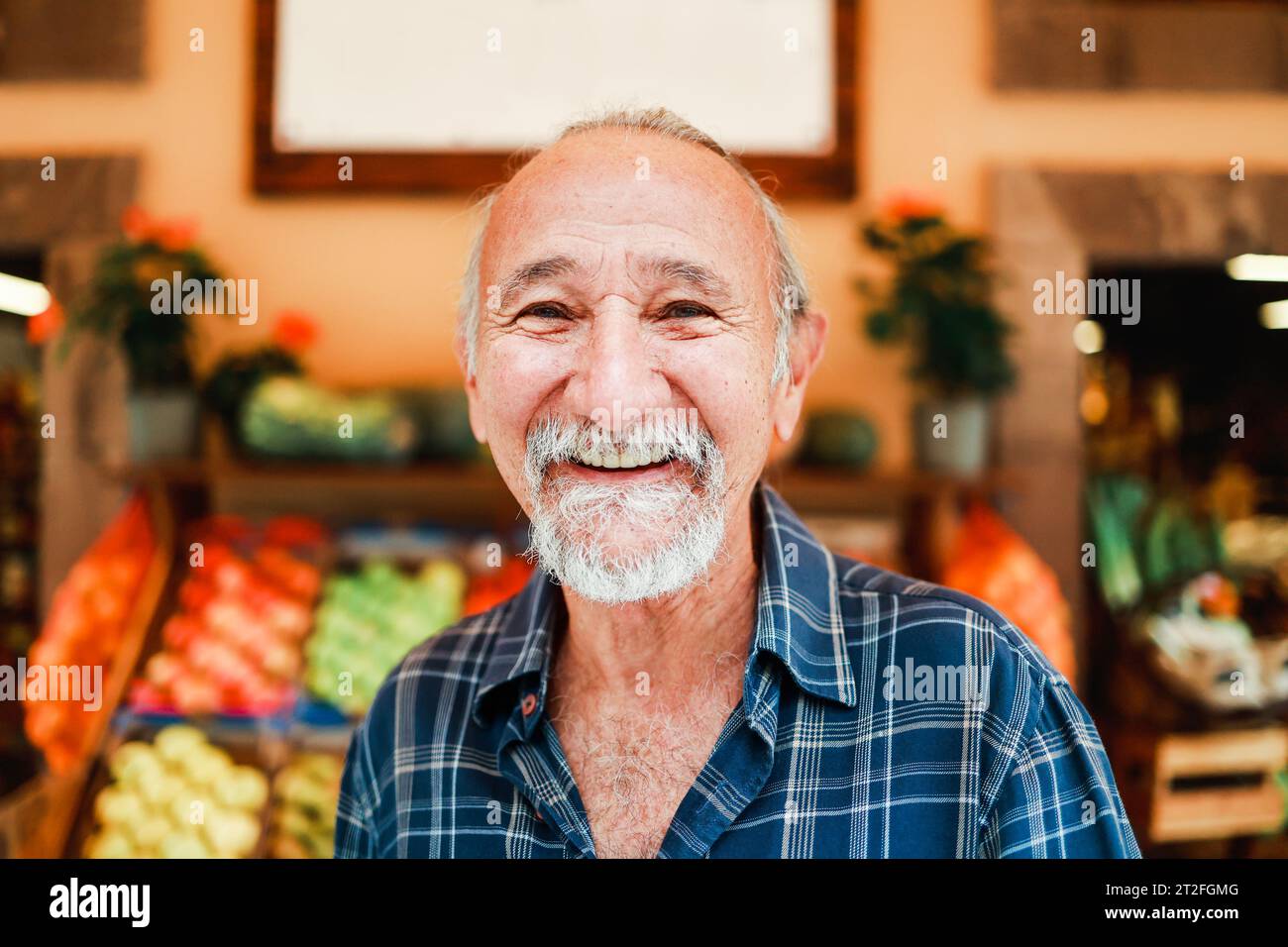 Asian senior man shopping vegetables and fruit at local grocery market ...