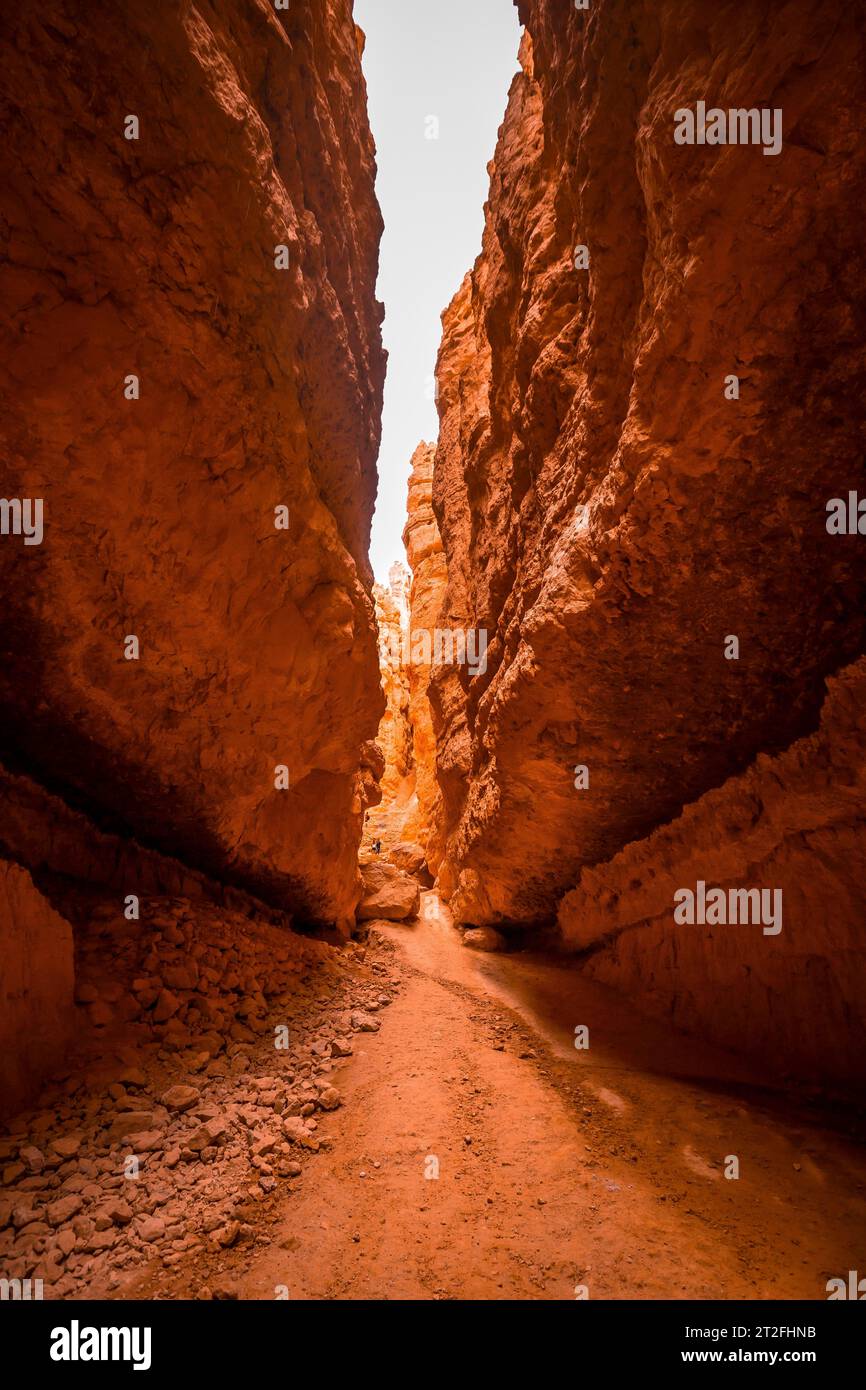 Beginning of the Navajo Loop Trail trail in Bryce National Park, Utah ...