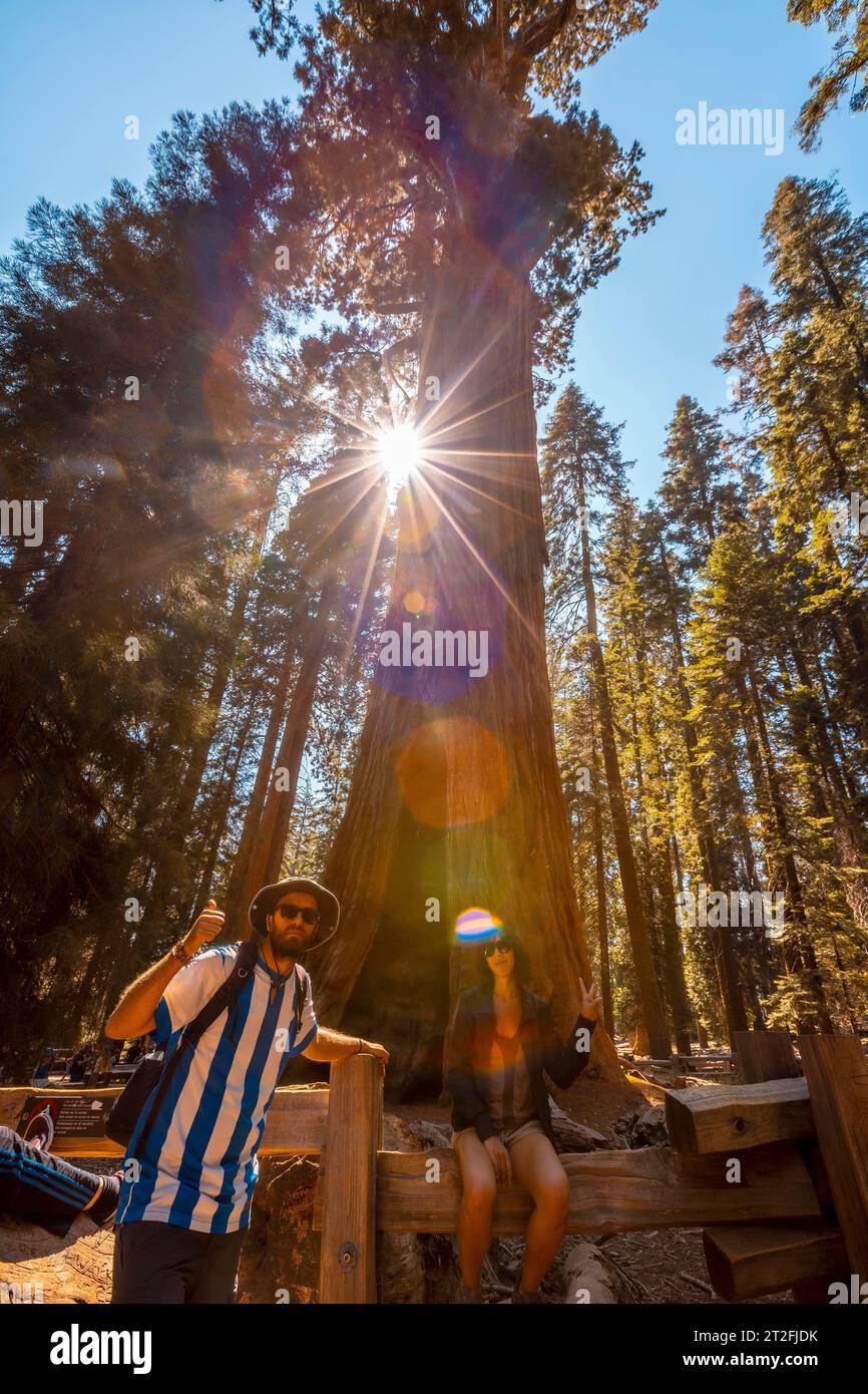 A couple in the giant General Sherman Tree tree in Sequoia National ...