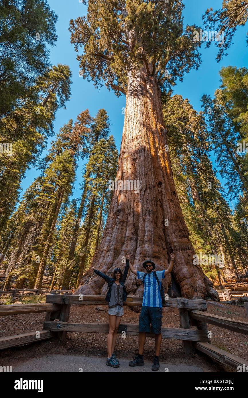 A couple in The giant tree General Sherman Tree in Sequoia National ...
