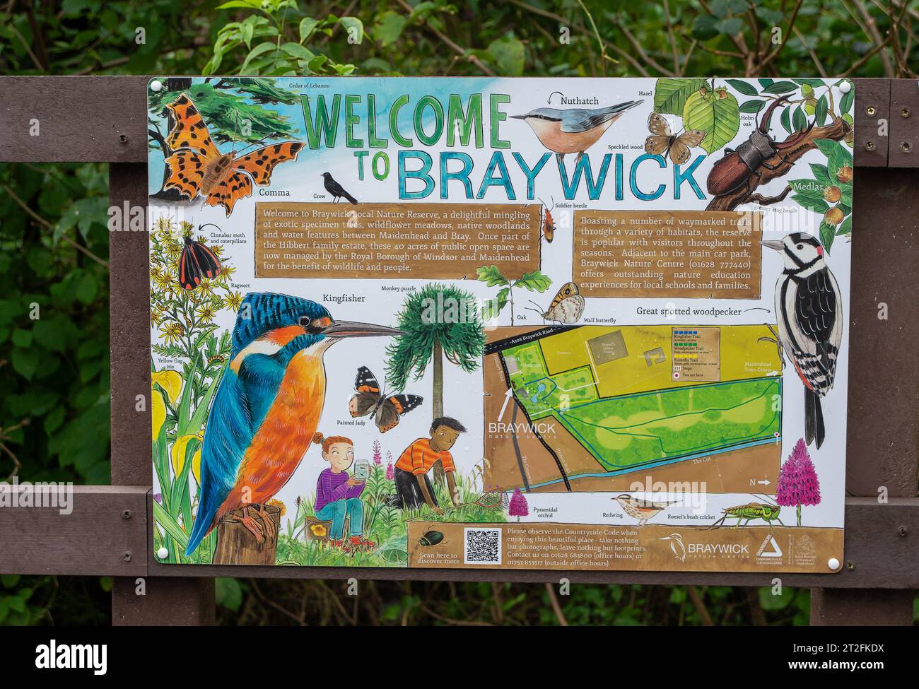 Braywick park hi-res stock photography and images - Alamy