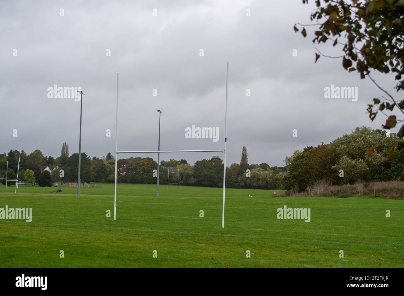 Braywick park hi-res stock photography and images - Alamy