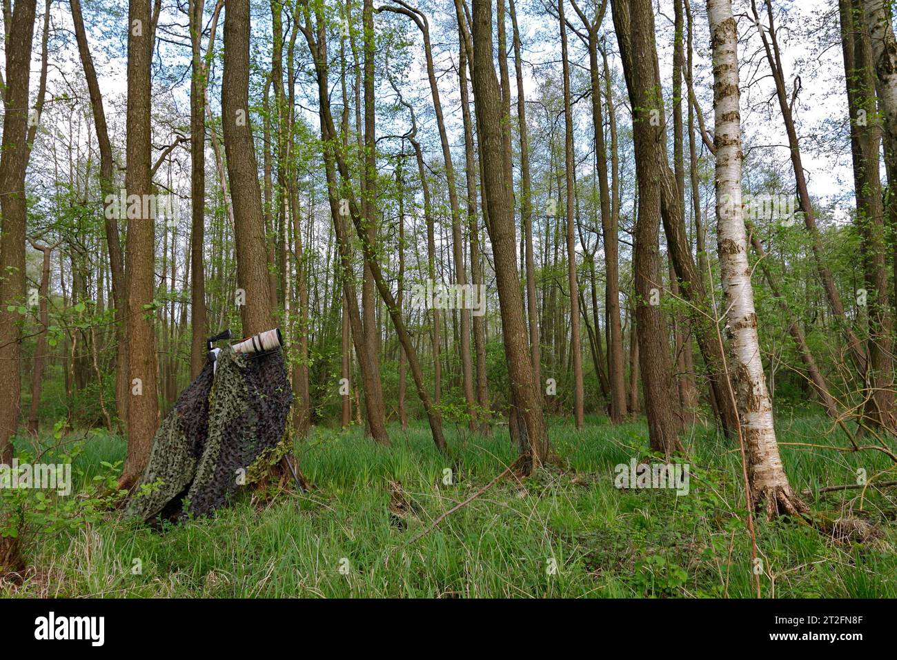Nature park photographer at work, methods of a nature photographer ...