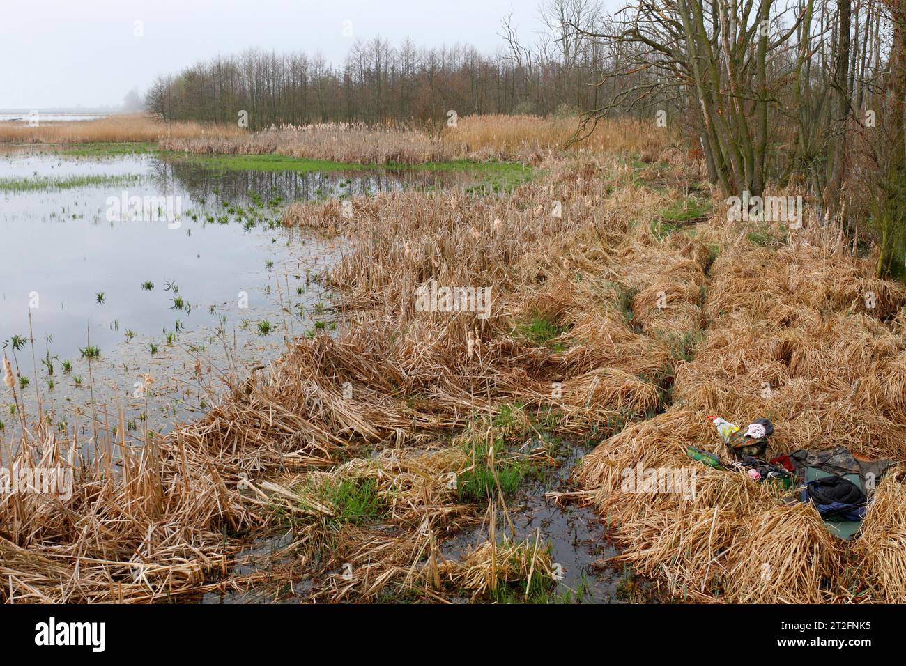 Camp of a nature photographer in a wetland, living in nature, Peene ...