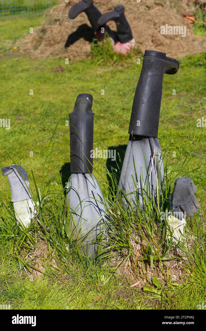 In the garden of a creative person, crude humour, Peene Valley River ...