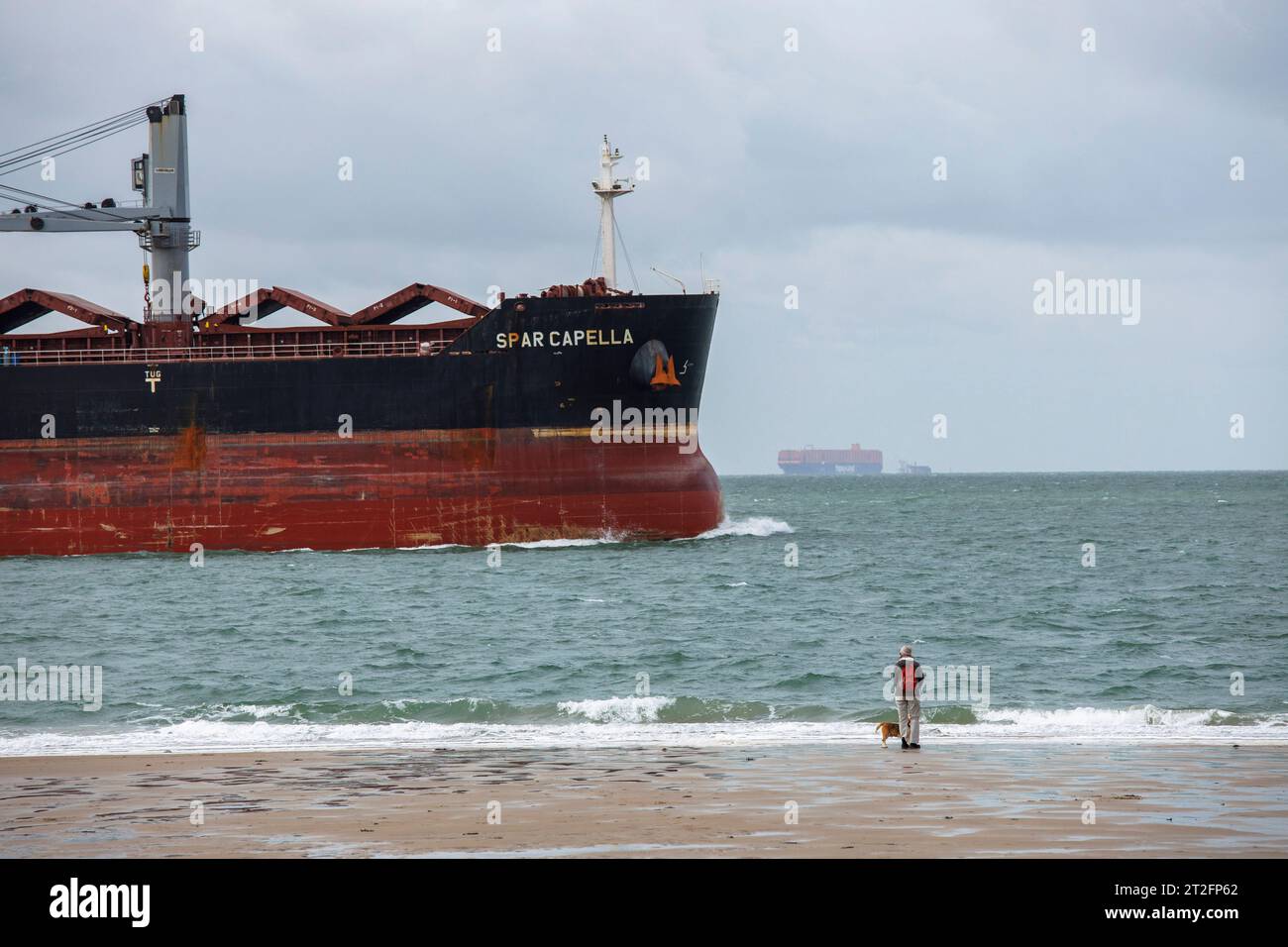 the bulk carrier vessel Star Capella is passing the beach in Dishoek on ...