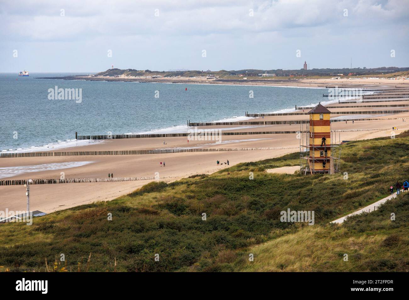 the scaffolded lighthouse Kaapduinen Laag in the dunes near Dishoek on ...