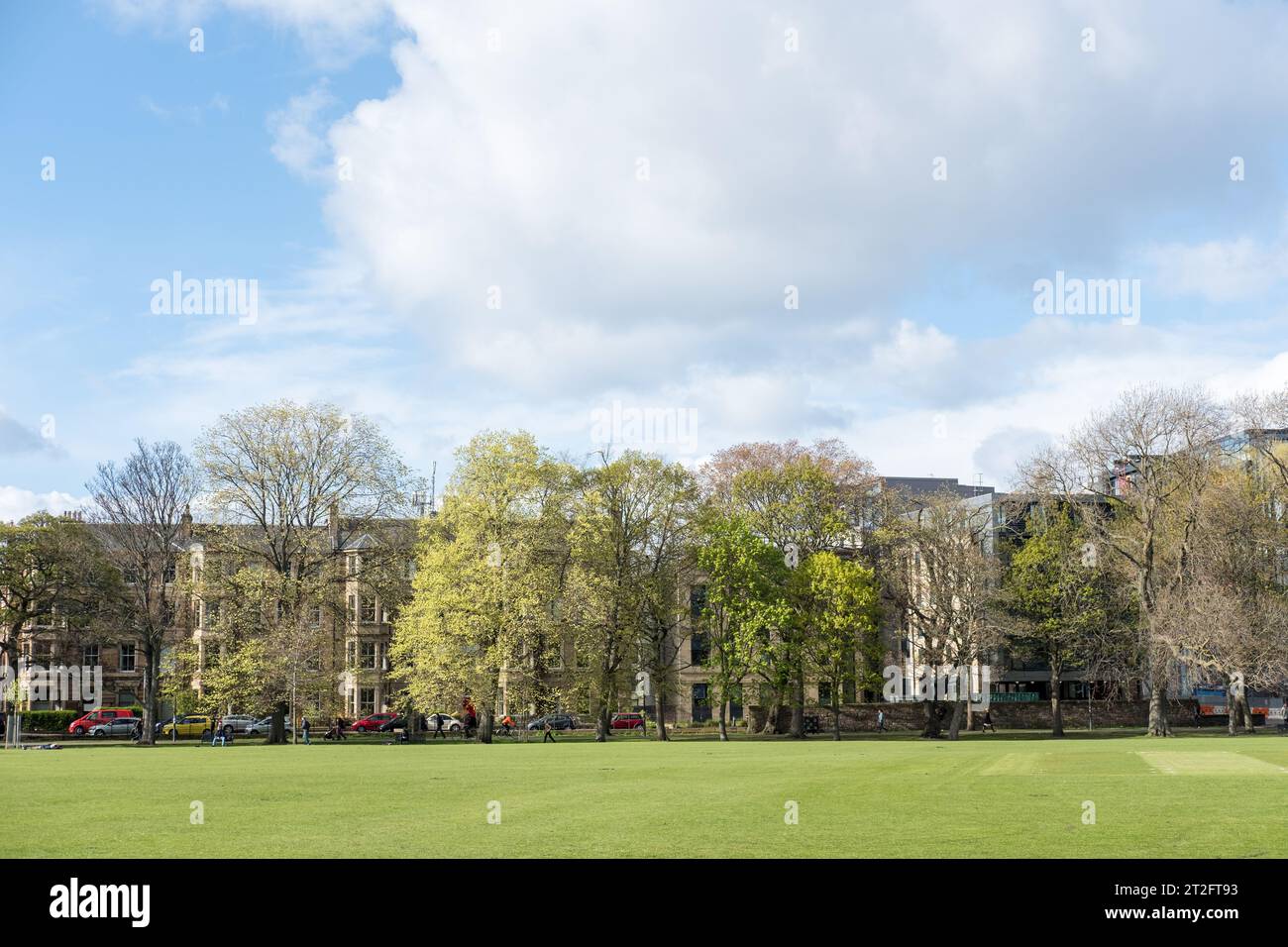 The Meadows park in spring. Beautiful pink Cherry Blossom or Sakura. in ...
