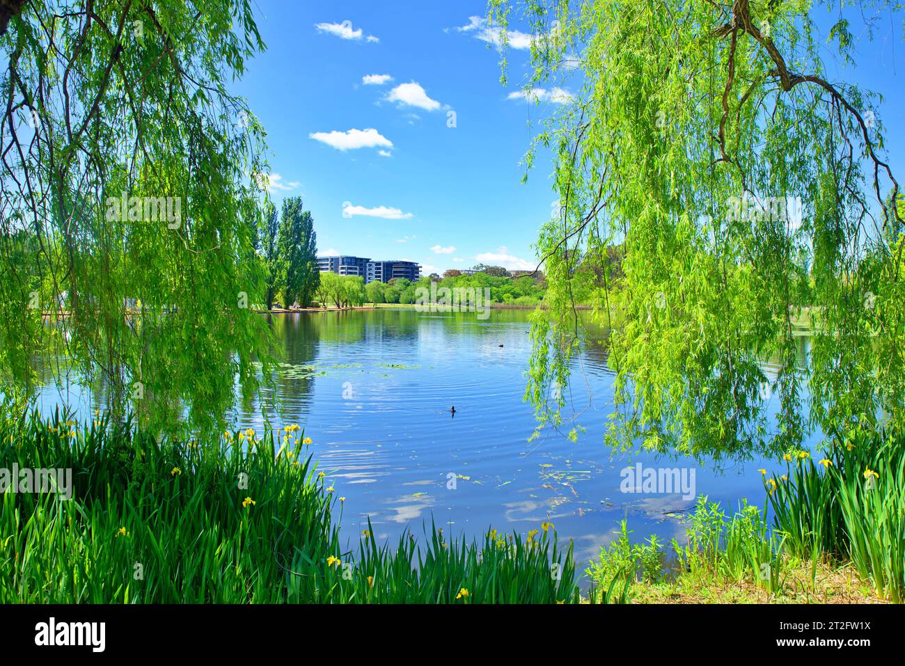 Lake with trees and building Stock Photo - Alamy