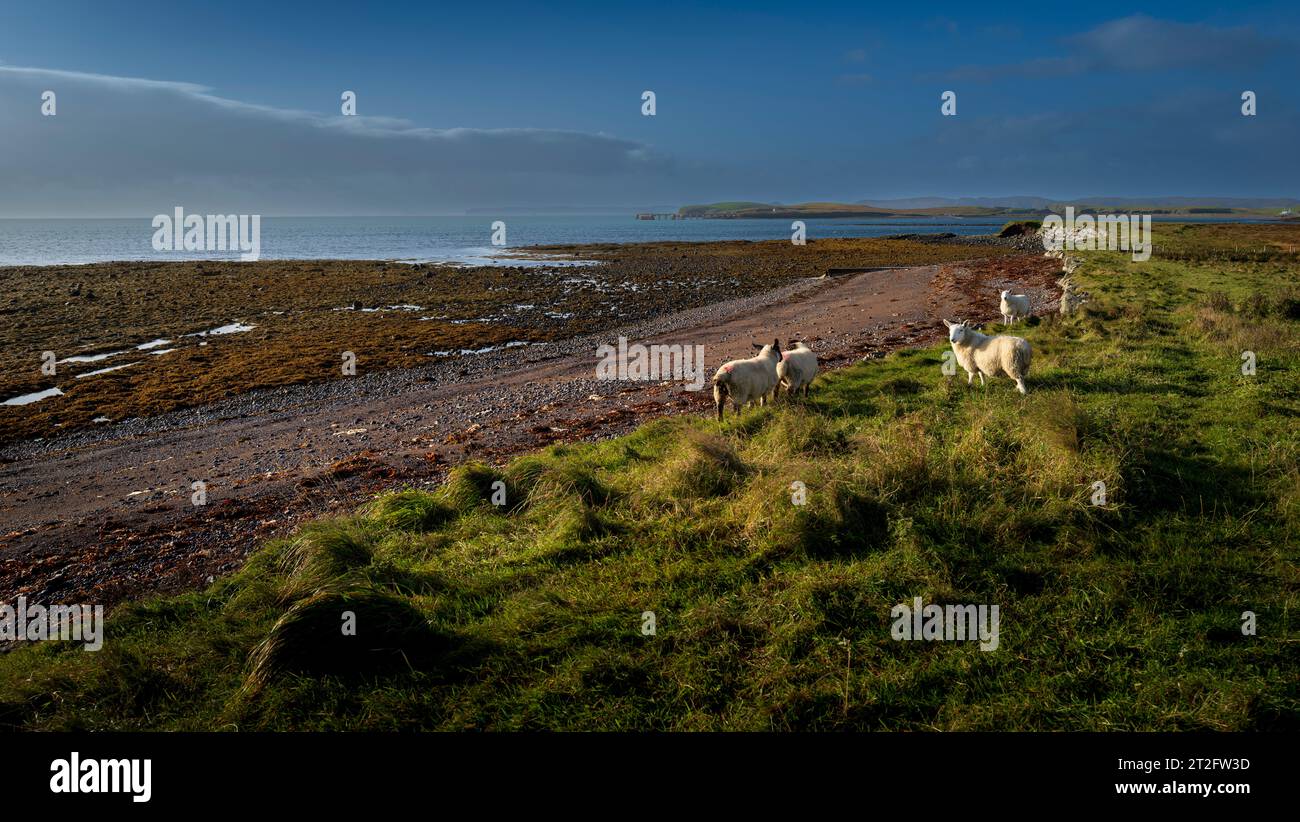 Lewis island scotland rainbow hi-res stock photography and images - Alamy