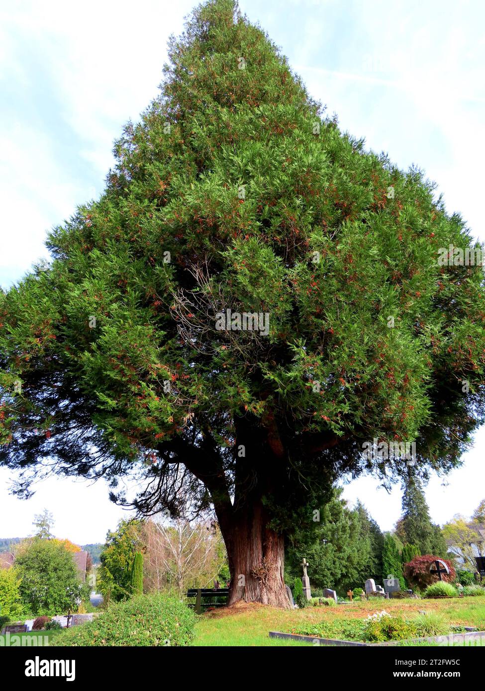 Beim Stichwort Friedhof denkt wohl jeder zuerst an das Sterben und ...