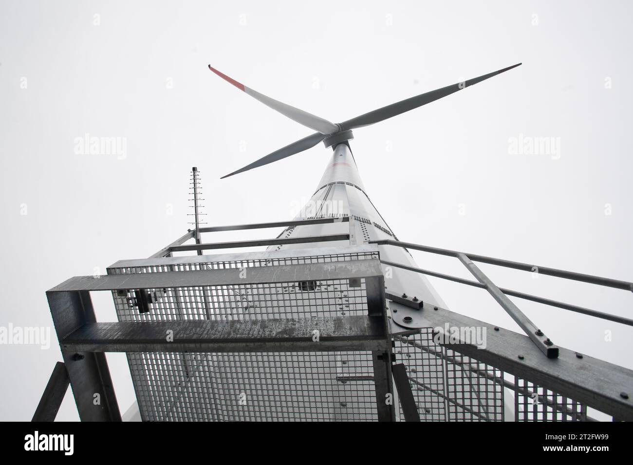 Gruna, Czech Republic. 19th Oct, 2023. At the end of October 2023, the ...
