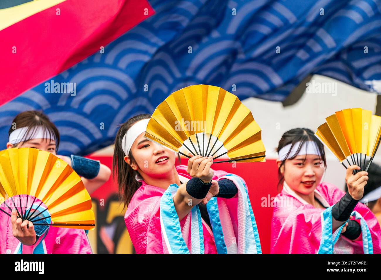 Japanese young woman Yosakoi dancers dancing in a line holding golden ...