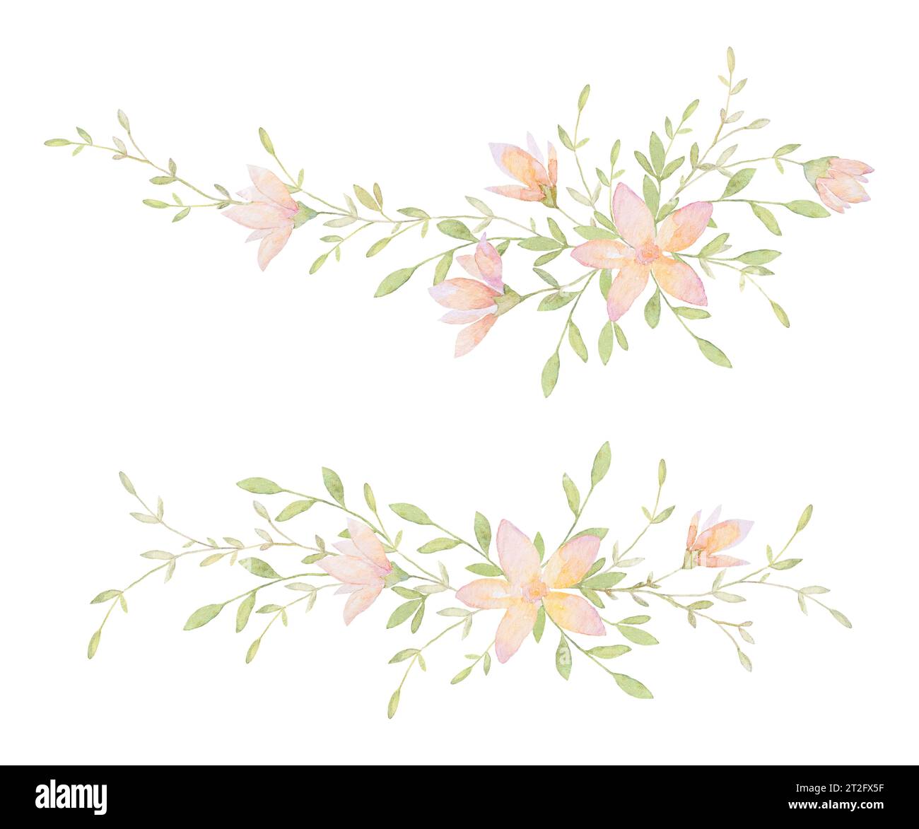 Floral Frame Border Watercolor, Wild Flower Border Clipart, Flower ...