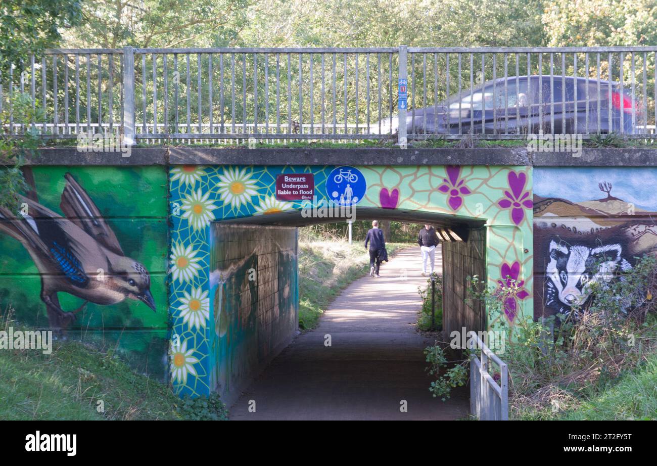 Underpass going under the A1016 road in Central Park, Chelmsford, Essex ...