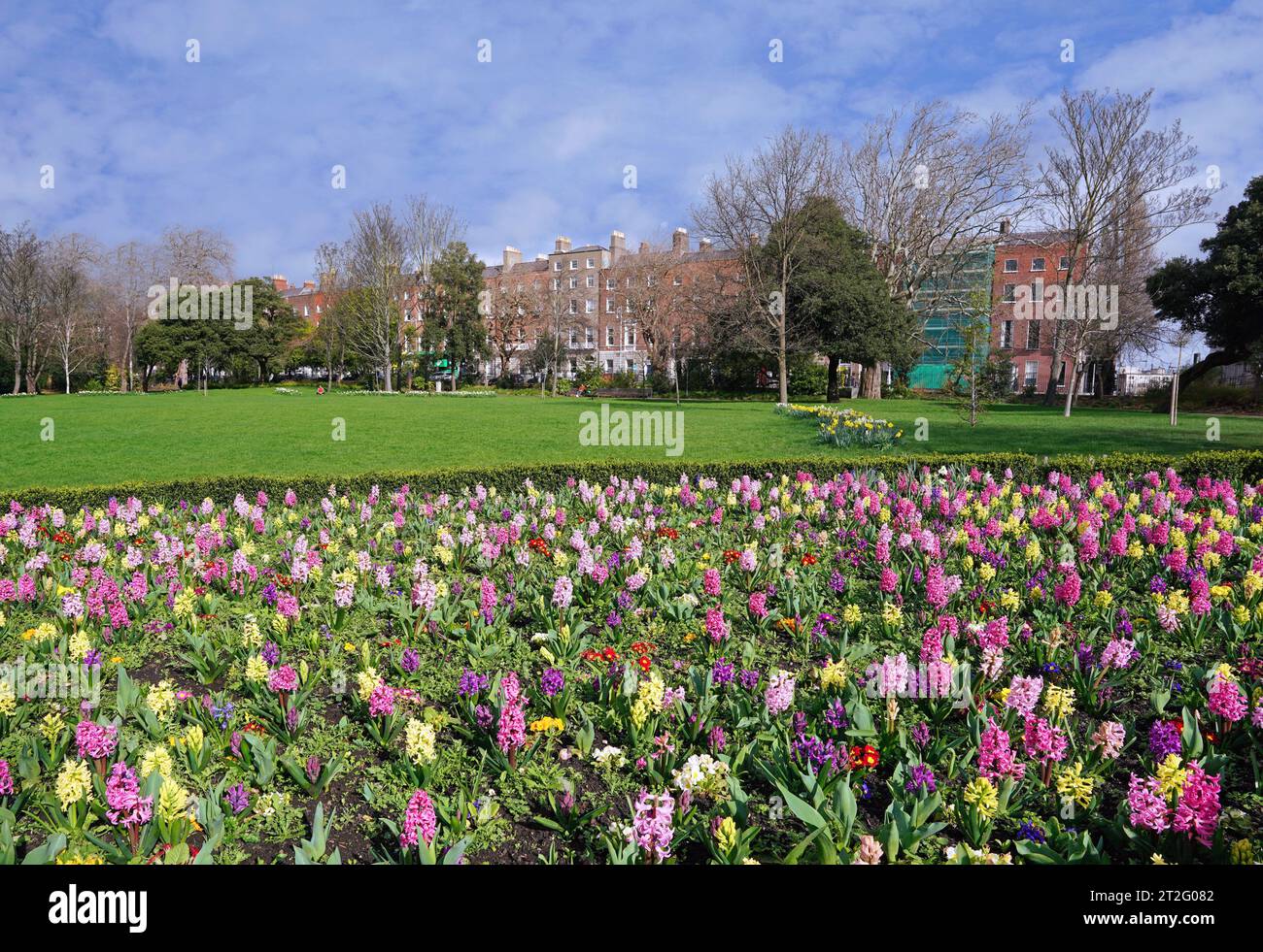 Dublin with spring flowers, Merrion Square Park Stock Photo - Alamy