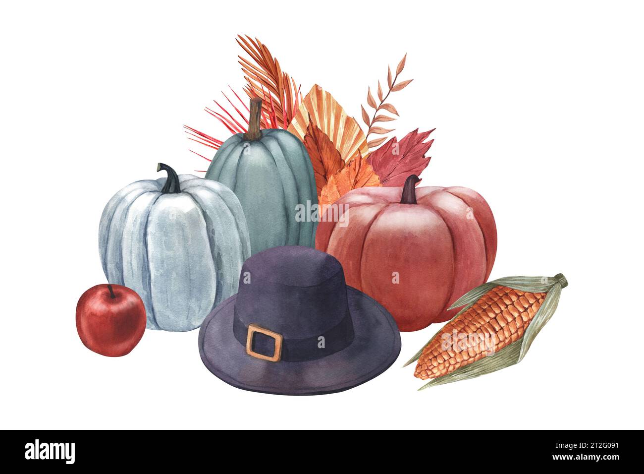Watercolor pumpkin, hat pilgrim, corn and vegetable. Hand-drawn ...