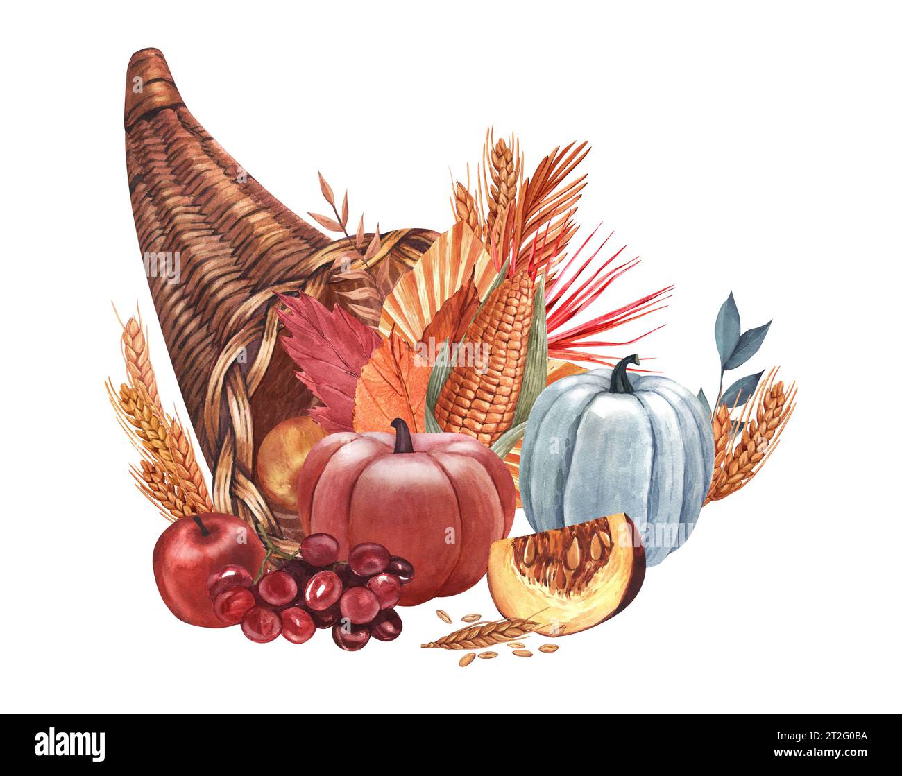 Watercolor cornucopia (horn of plenty) with pumpkin and vegetable. Hand ...