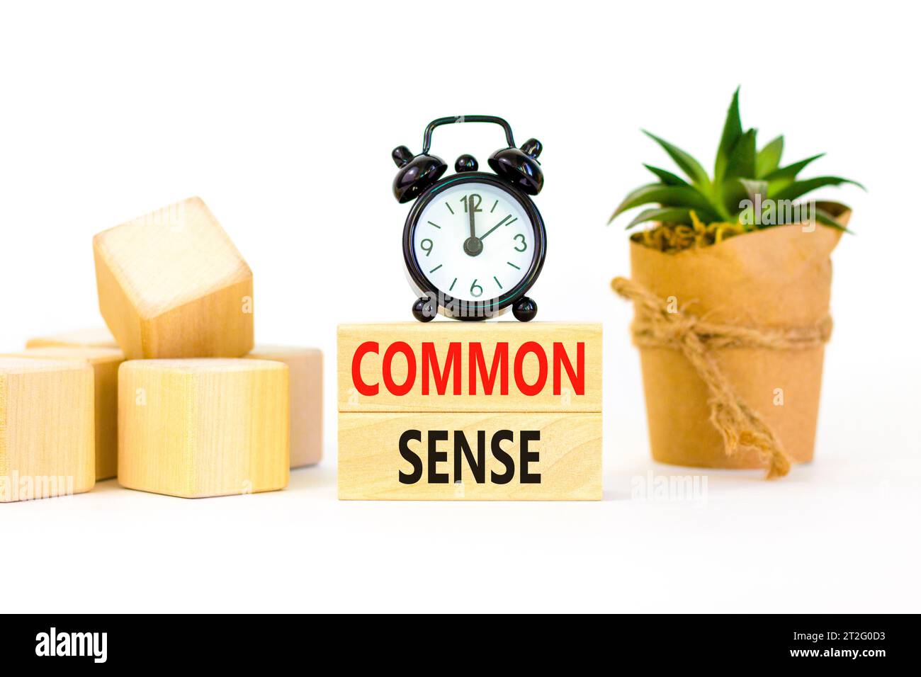 Common sense symbol. Concept words Common sense on beautiful wooden ...