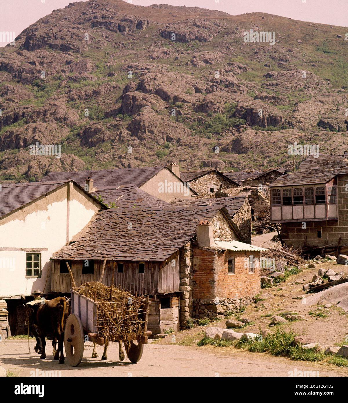 VISTA DEL PUEBLO VIEJO - FOTO AÑOS 60. Location: EXTERIOR. RIBADELAGO ...