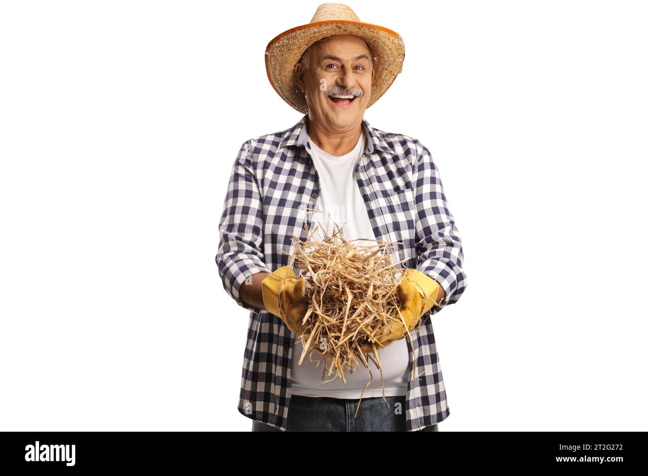 Happy mature farmer holding a stack of hay isolated on white background ...
